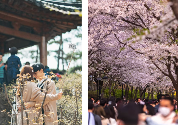 Exploring Seoul: Top Attractions and Hidden Gems - About Korea - Your ...